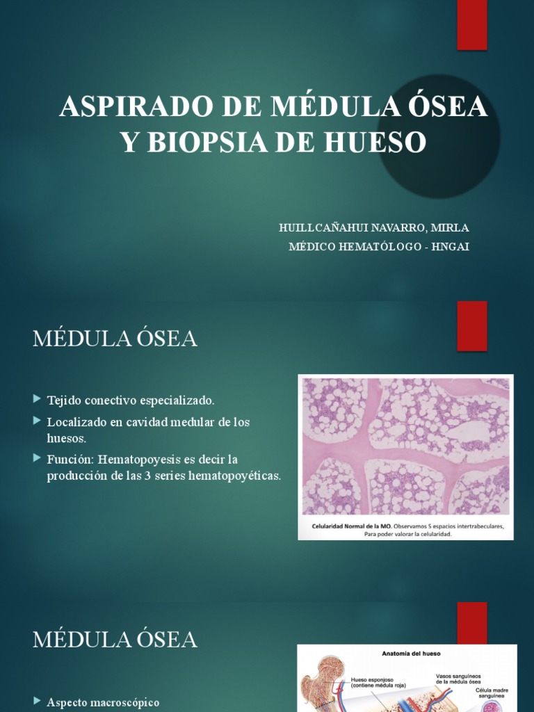 Aspirado de Médula Ósea y Biopsia de Hueso | PDF | Hueso | Médula ósea