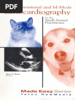 Small Animal Cardiology Auscultation - Vet Visions | PDF | Heart ...