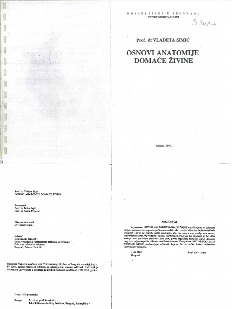 Osnovi Anatomije Domace Zivine Compressed | PDF