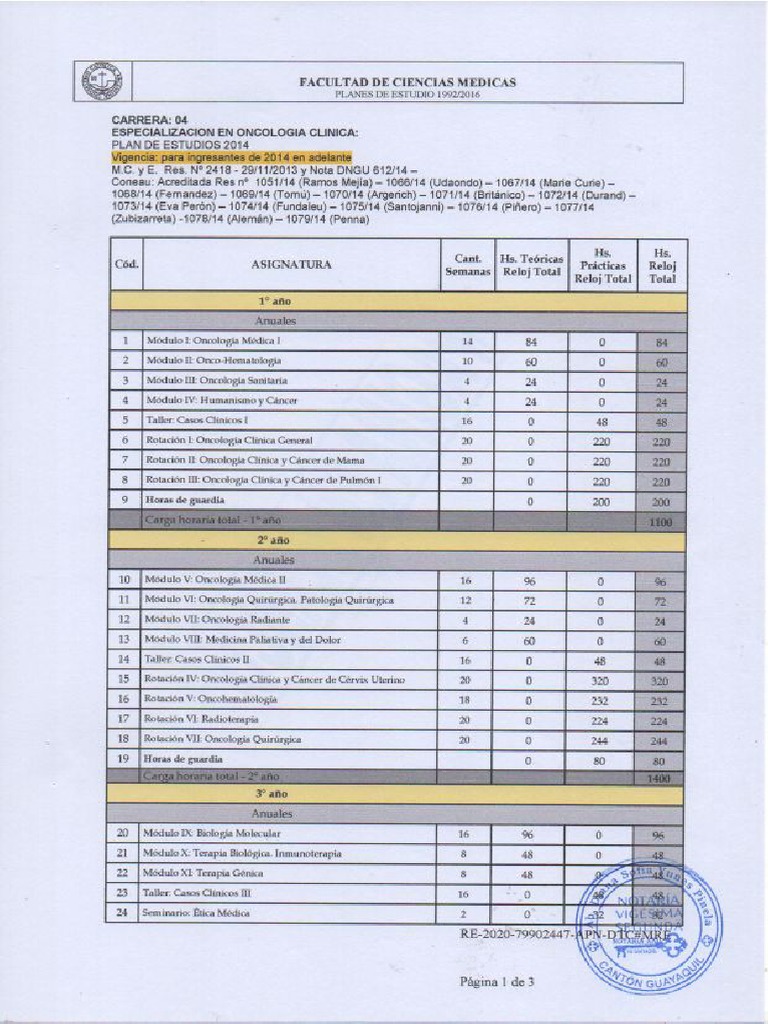 Plan + Programa de Estudio | PDF