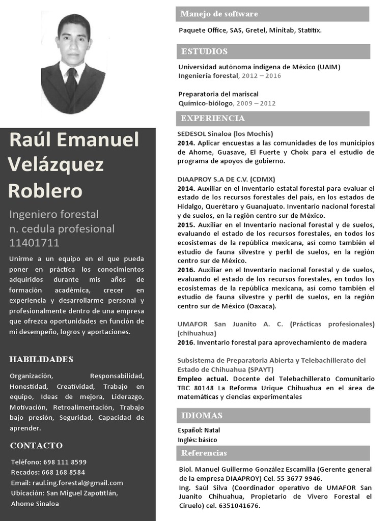 207 Curriculum Vitae Primer Trabajo | Descargar gratis PDF | México