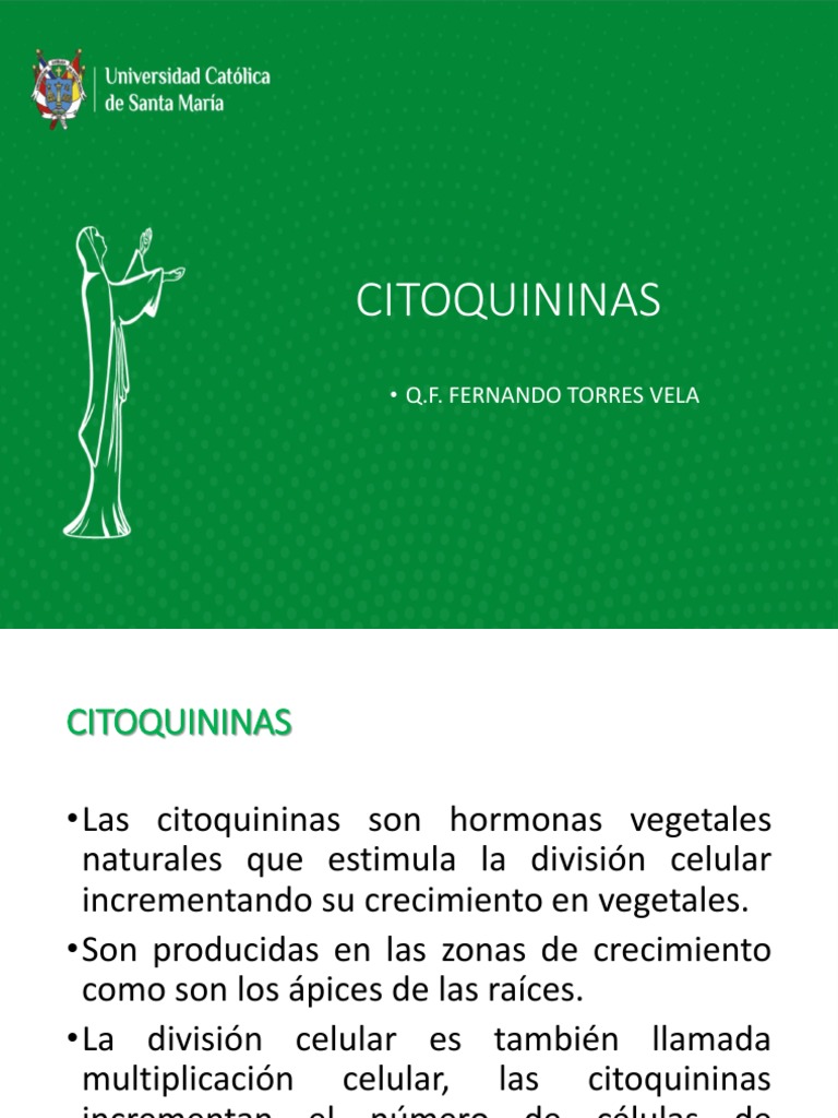 CITOQUININAS | PDF | Hormona Vegetal | Biología Celular