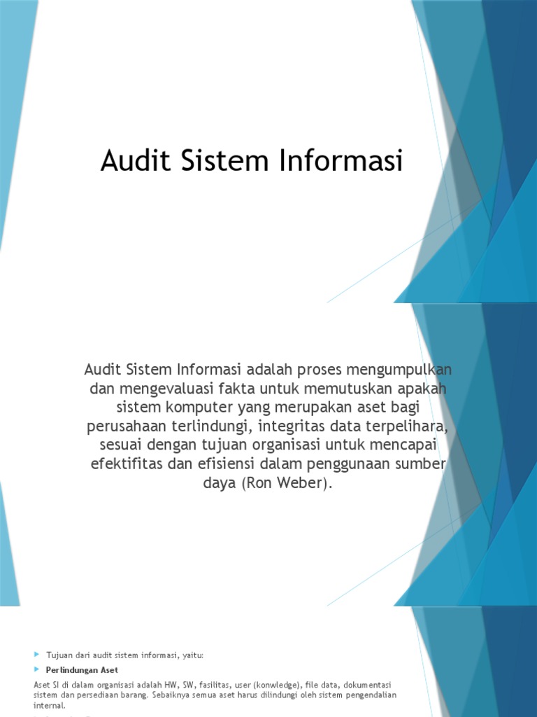 Si Audit | PDF