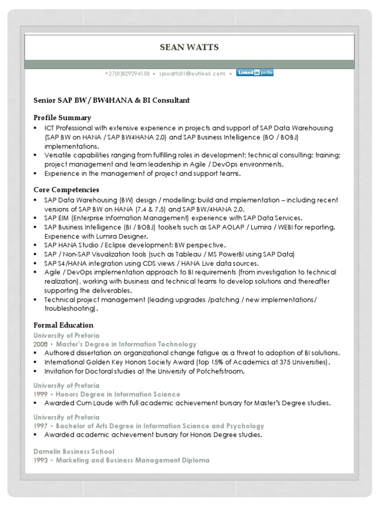 Sean Watts SAP BW CV | PDF | Analytics | Business Intelligence