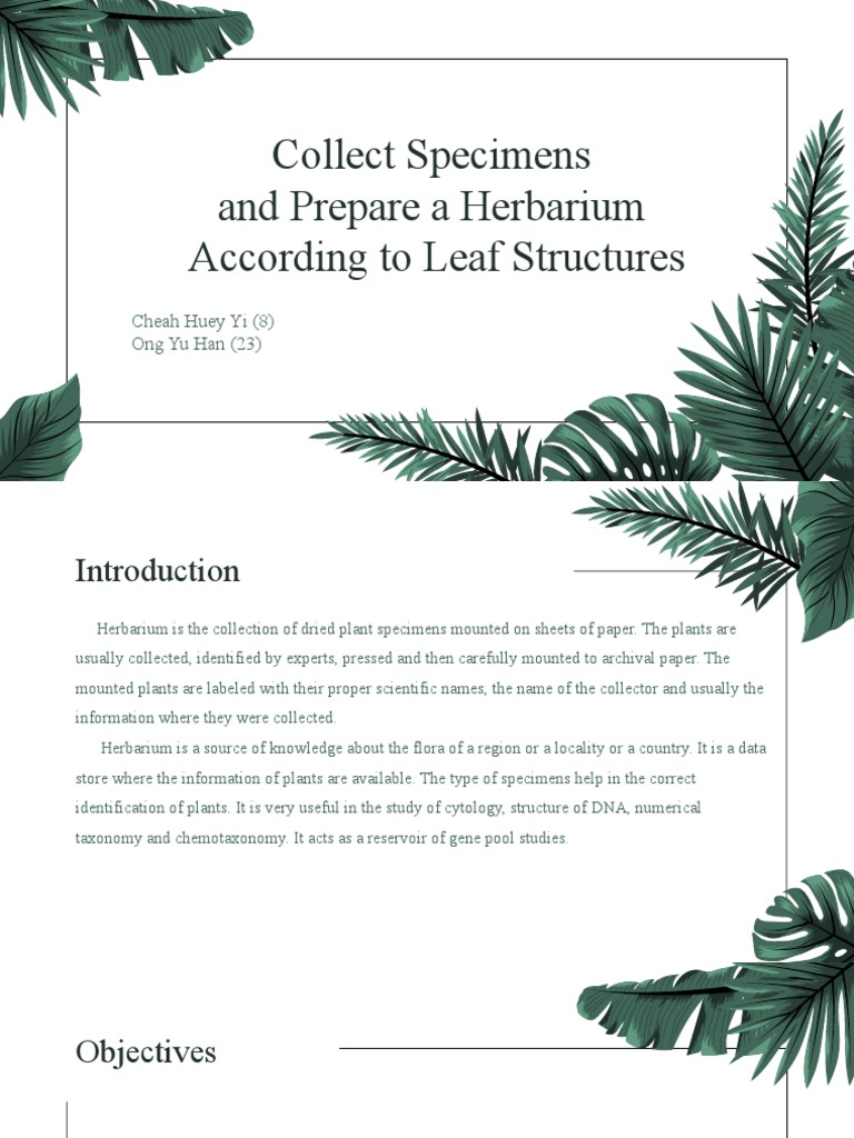 Bio PBL F5 - Herbarium | PDF | Science | Biology