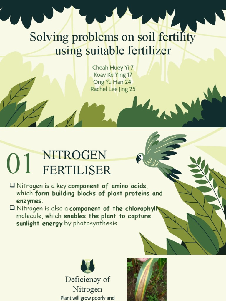 Chemistry PBL 2 | PDF | Fertilizer | Plants