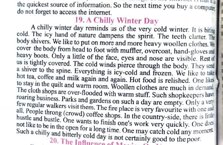 Chilly Winter Day Reflections | PDF