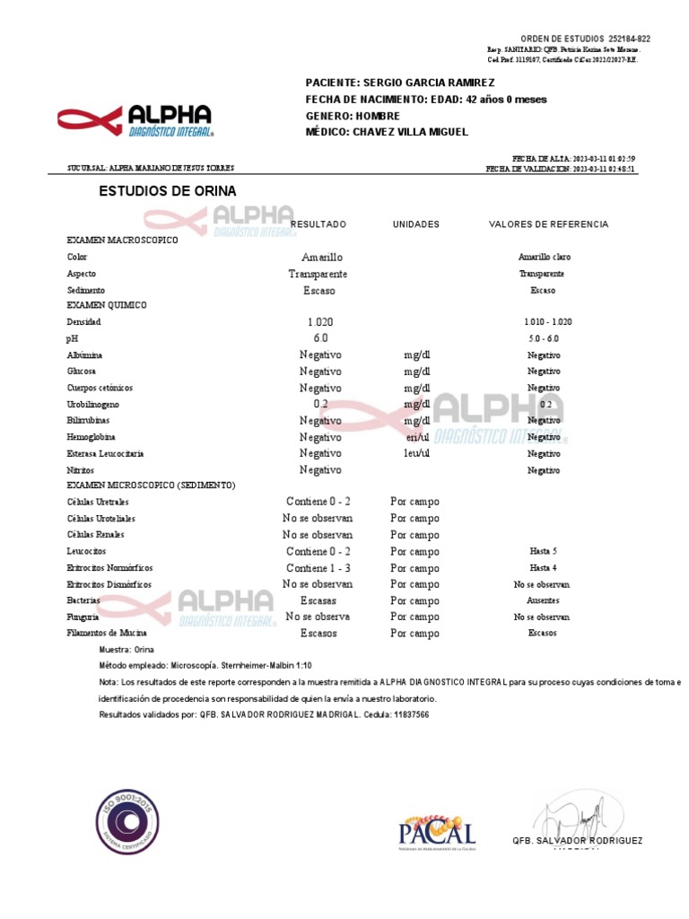 Estudios de Orina | PDF | Medicina CLINICA | Fisiología