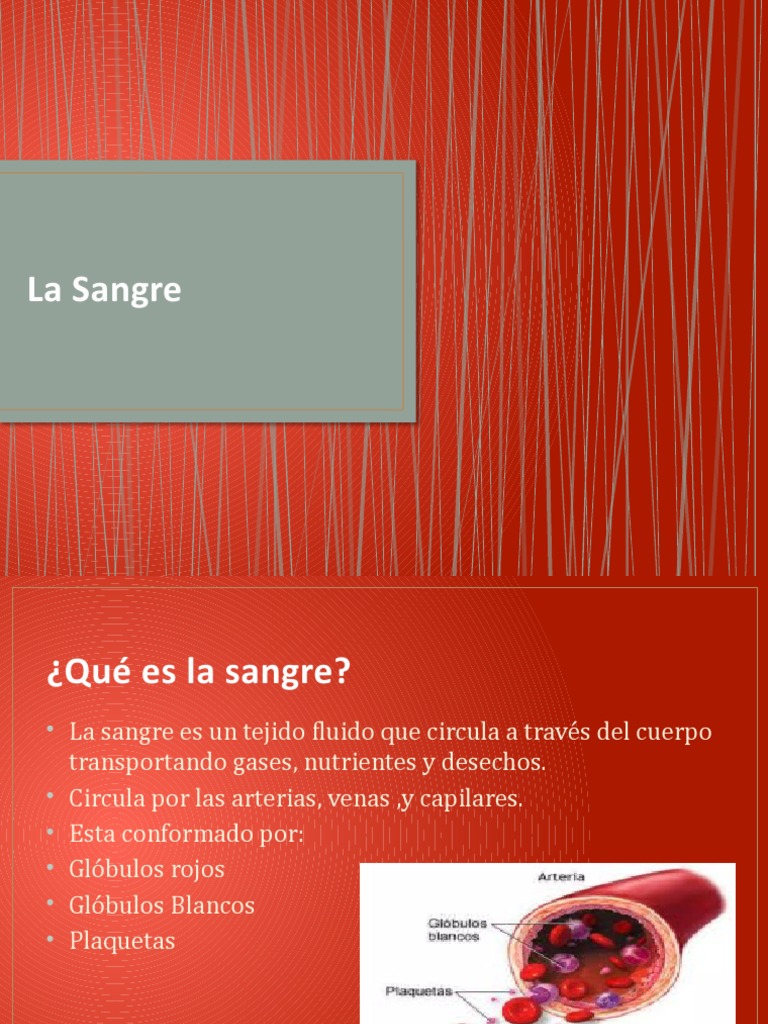 La Sangre | PDF | Sangre | Leucocito