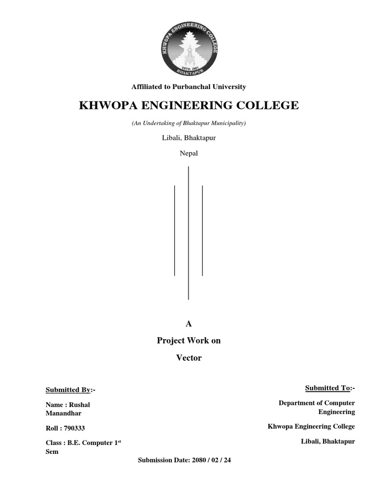 Maths Vector Project | PDF | Euclidean Vector | Force
