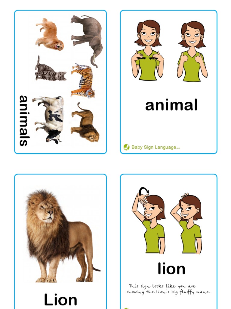 ASL Animal Signs for Kids | PDF | Hippopotamus | Elephant
