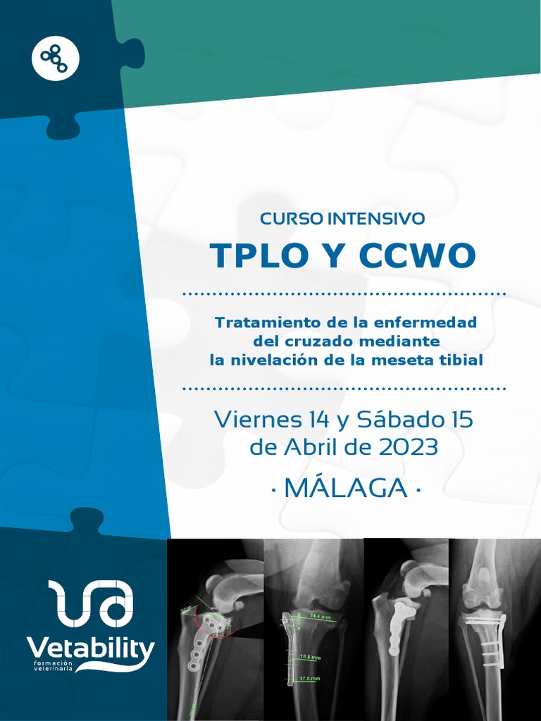 Tplo y Ccwo 2023 | PDF | Medicina Veterinaria | Especialidades Medicas