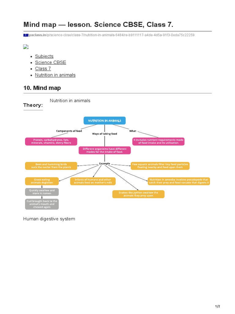 Yaclass - In-Mind Map Lesson Science CBSE Class 7 | PDF | Computers ...