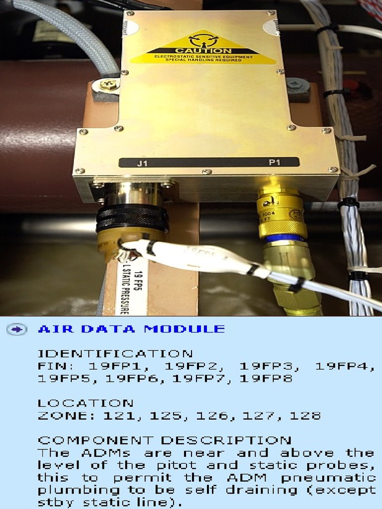 L Lat AVC COMPT Flashcards | PDF