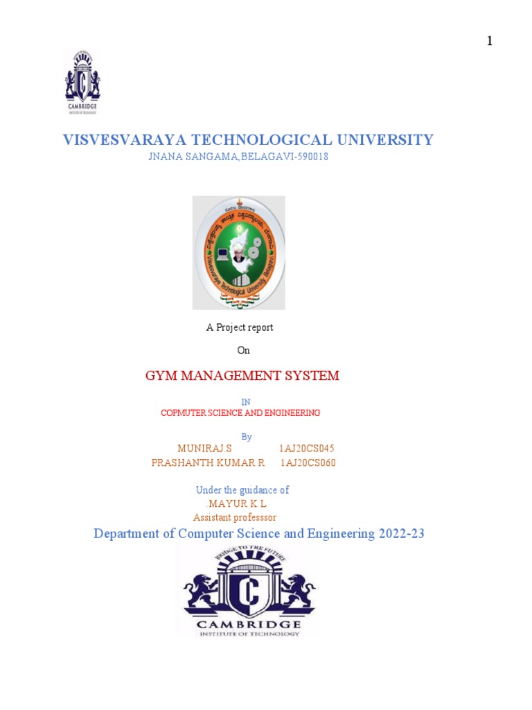 Dbms Report Mini Project 4 Pdf Software Testing World Wide Web