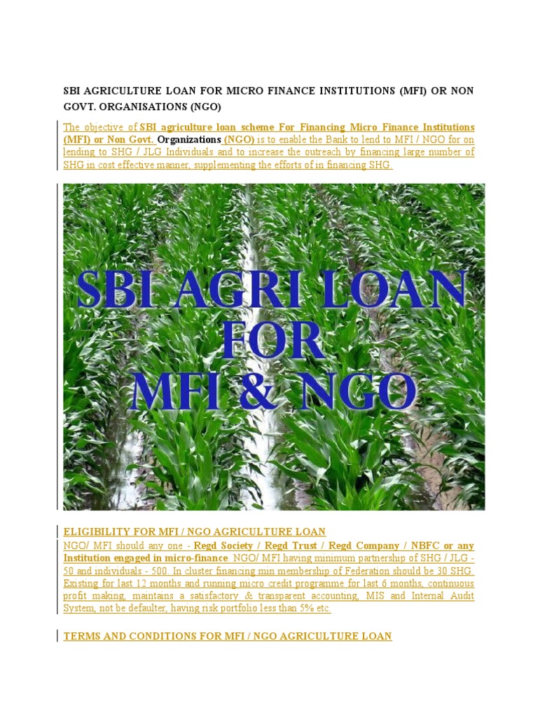 Sbi Role in Micro Finance | PDF | Microfinance | Loans