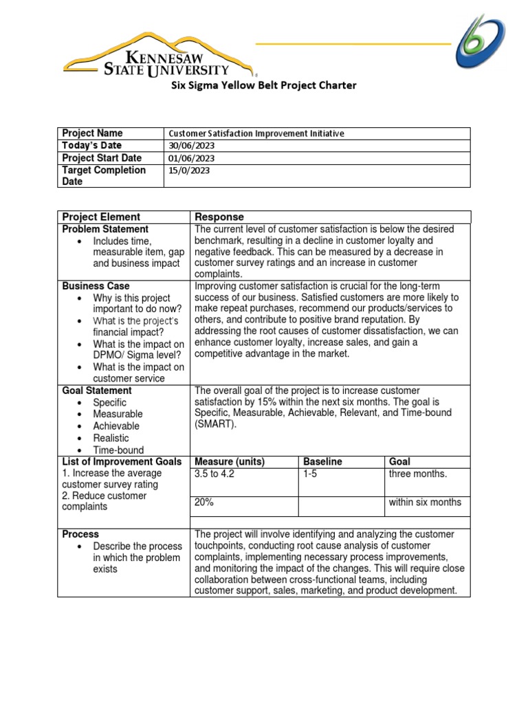 Six Sigma Yellow Belt Project Charter | PDF | Customer Satisfaction | Goal