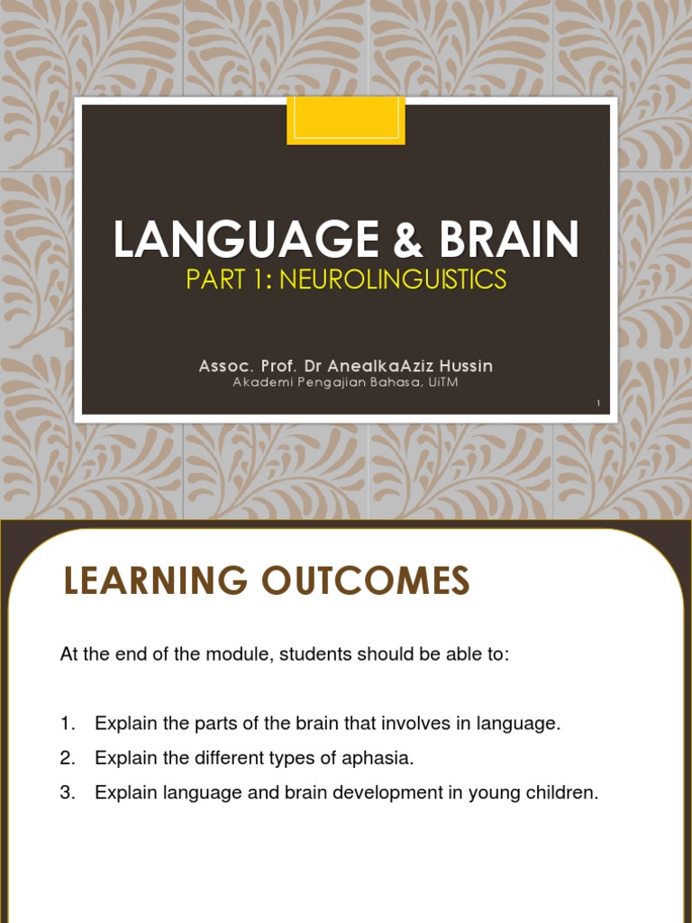 ALS426 Chapter 10 Language and Brain Neurolinguistics 2 | PDF | Aphasia ...