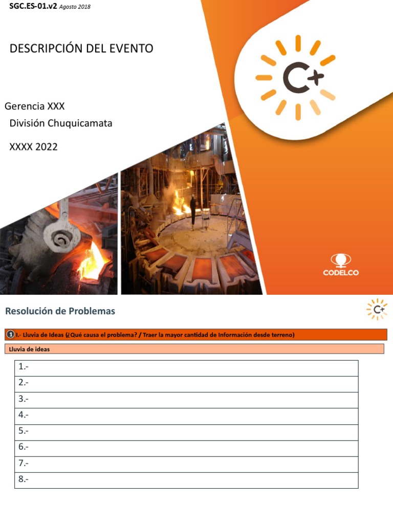 Formato RDP 3 Pasos FN | PDF