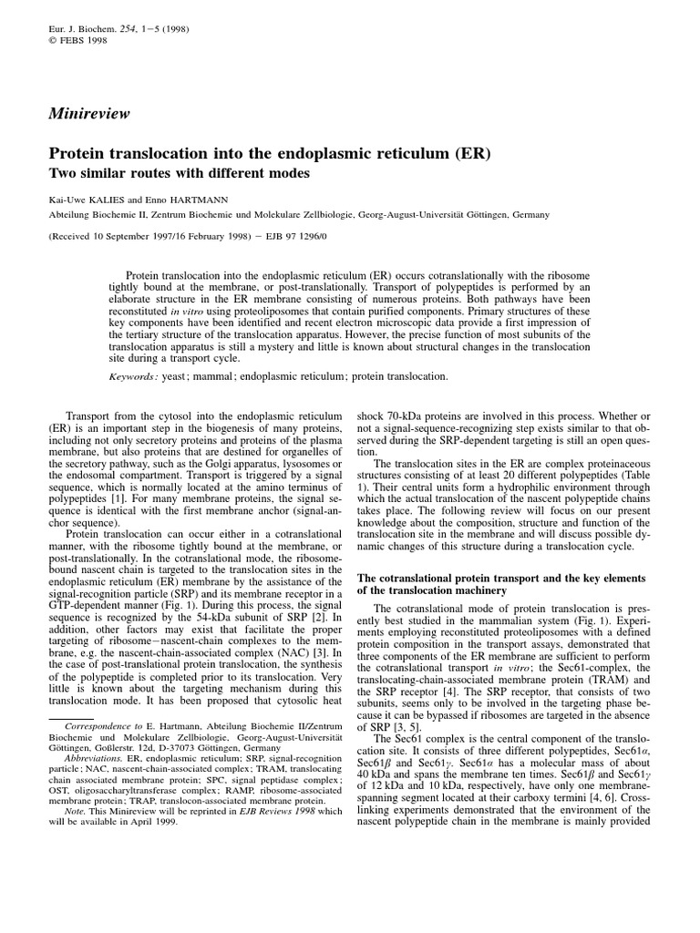 European Journal of Biochemistry - 2001 - Kalies - Protein ...