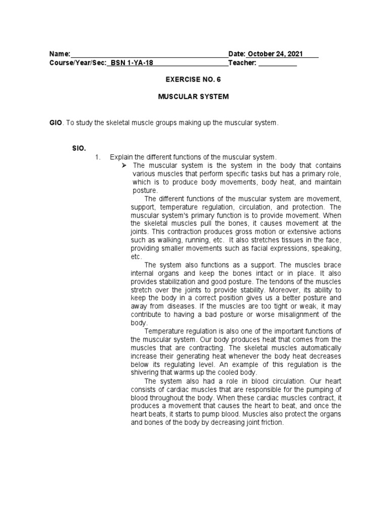 WEEK 7 LAB EXERCISE - Muscular System | PDF | Skeletal Muscle ...