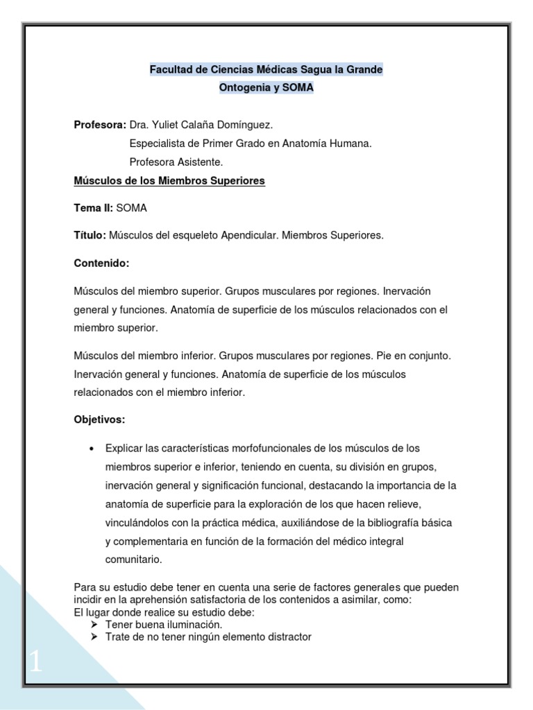 13-Músculos Del Esqueleto Apendicular | PDF | Mano | Tejido suave