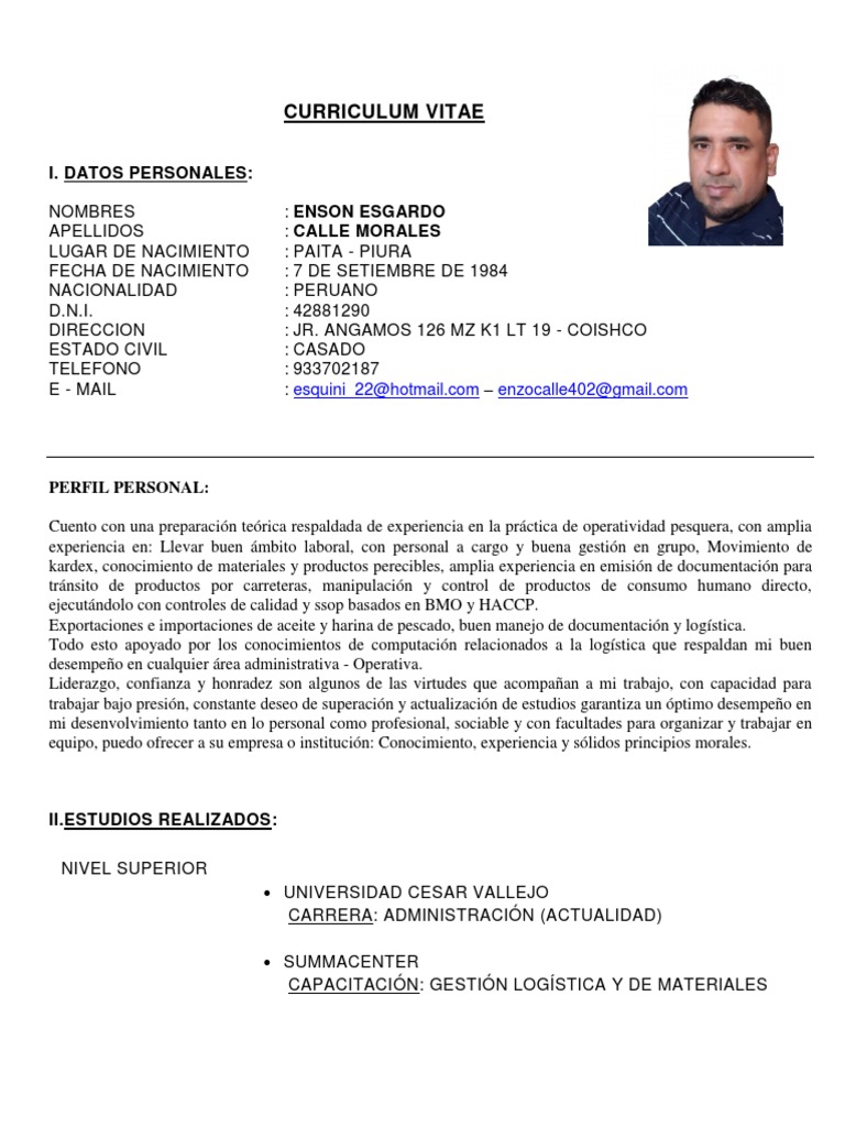 Curriculum - Vitae Enson | PDF | Logística | Almacén