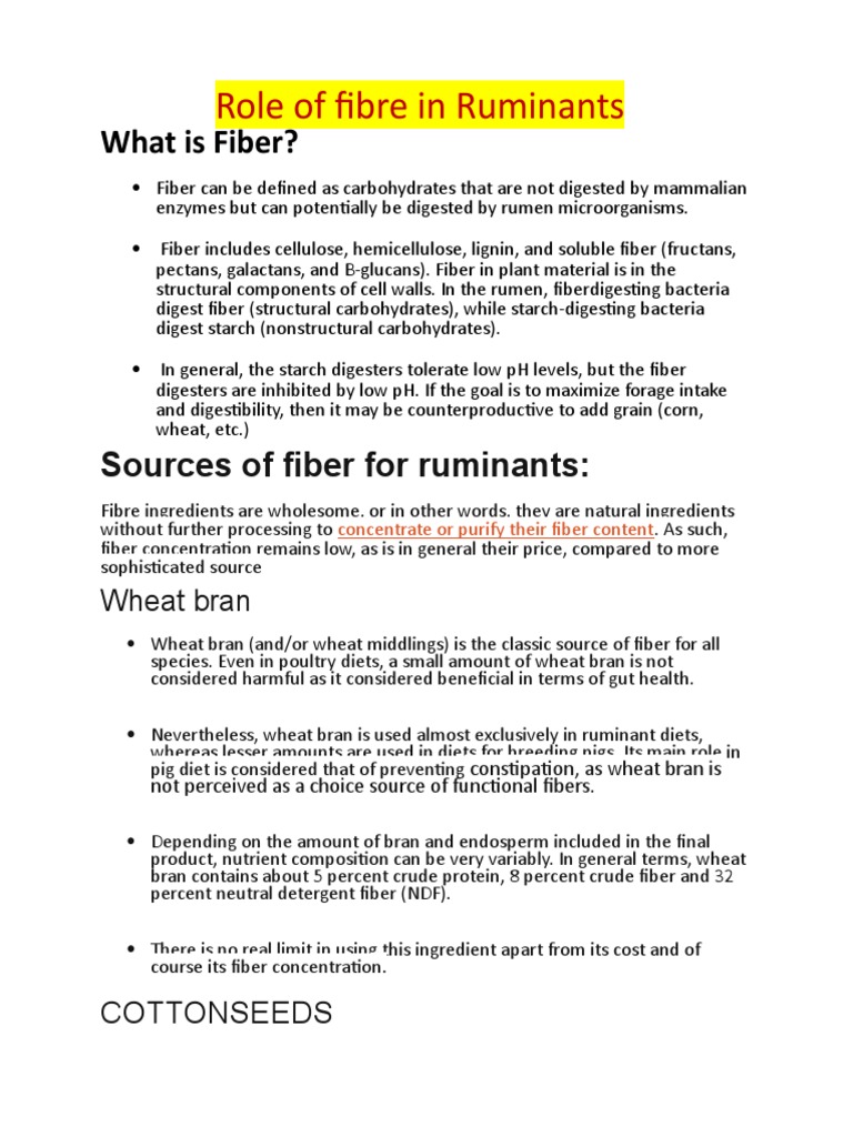 Role of Fibre in Ruminants | PDF | Dietary Fiber | Diet & Nutrition