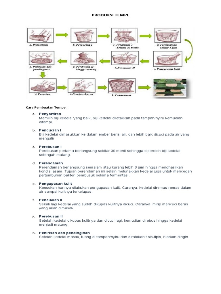 Proses Produksi Tempe Secara Lengkap | PDF