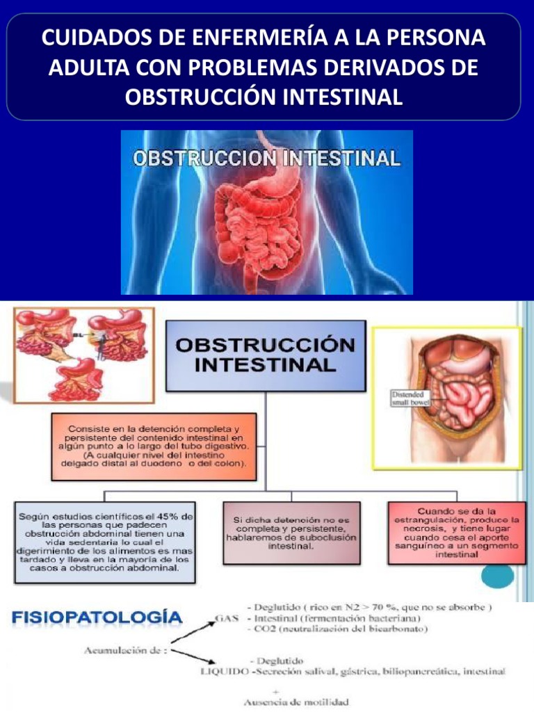 Cuidados de Enfermería A La Persona Adulta Con Problemas Derivados de ...