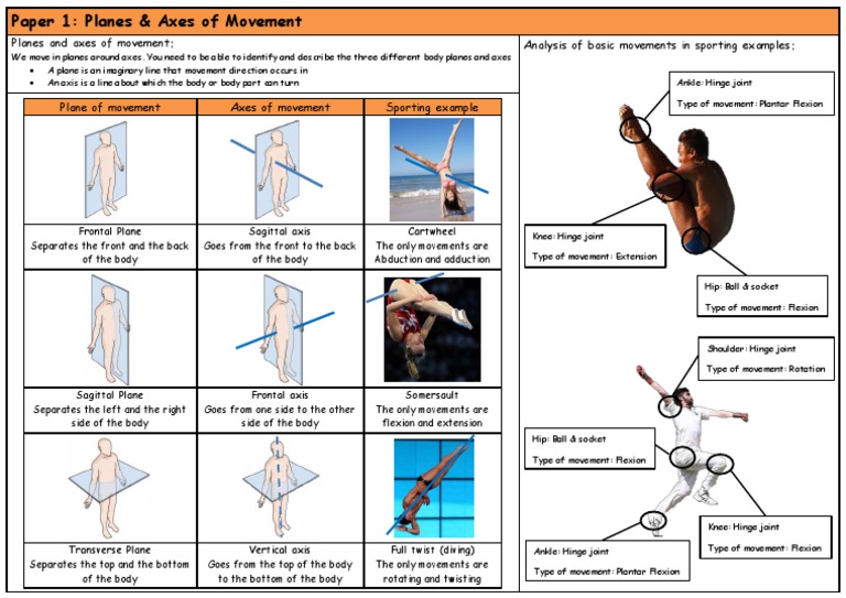 09 Planes and Axes | PDF | Anatomical Terms Of Motion | Human Anatomy