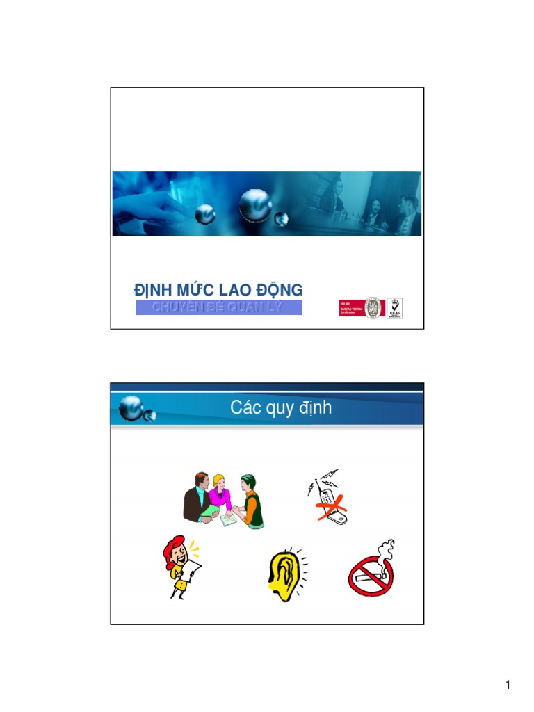 Dinh Muc Lao Dong | PDF