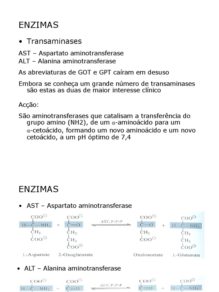 Enzimas | PDF | Enzima | Órgão (anatomia)