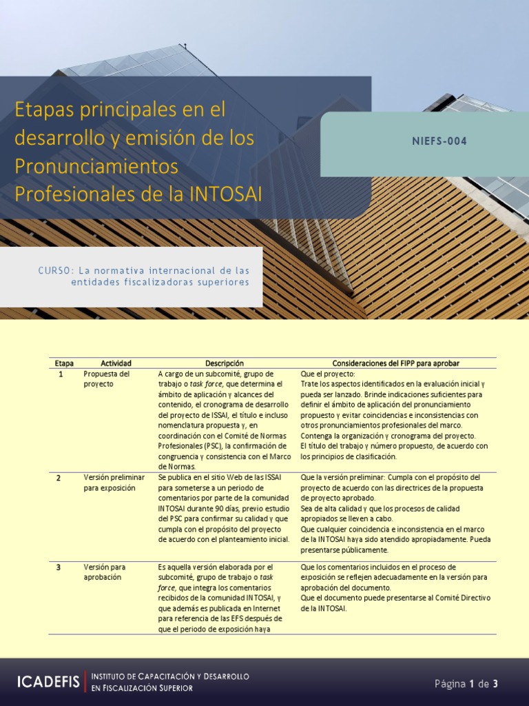 Etapas Debido Proceso INTOSAI | PDF