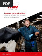 Locating Cattle and Sheep Injection Sites | PDF | Injection (Medicine ...
