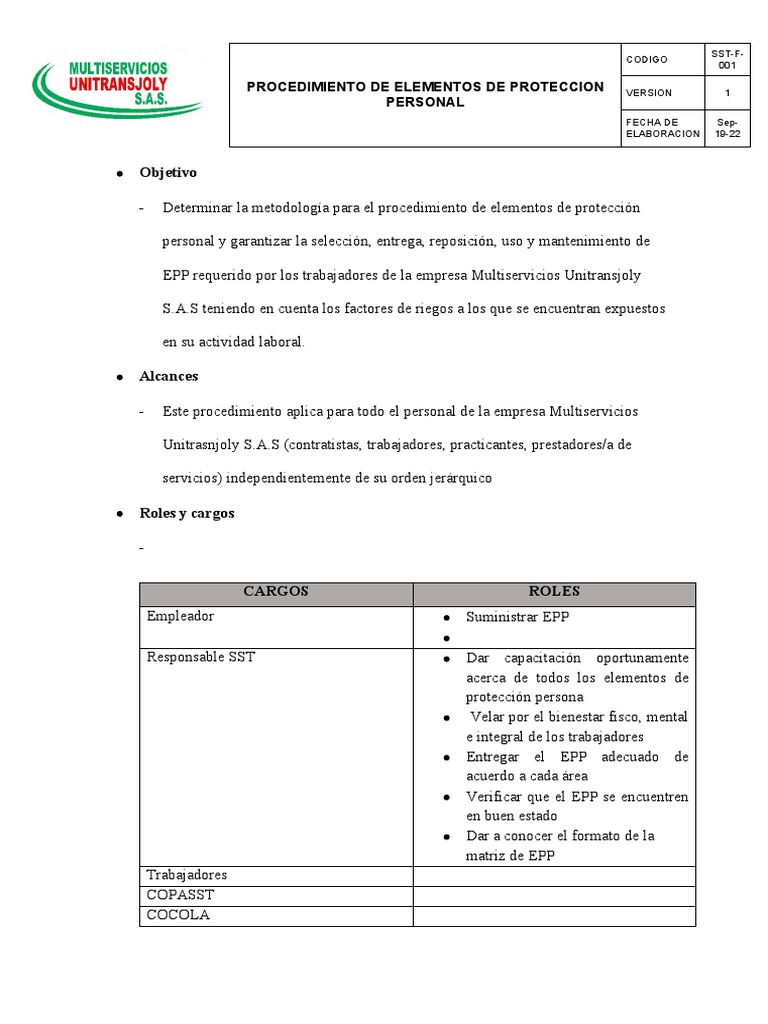 Procedimiento de EPP | PDF | Business