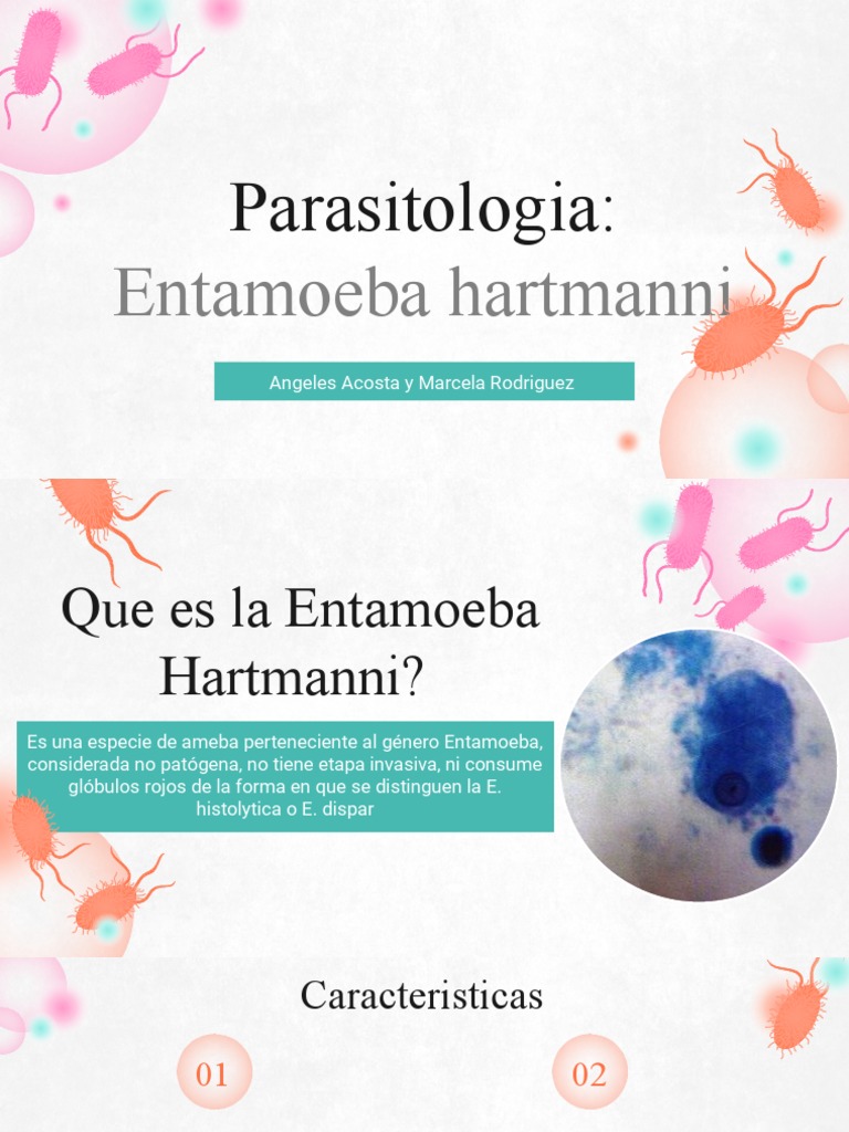 Características de Entamoeba hartmanni | PDF