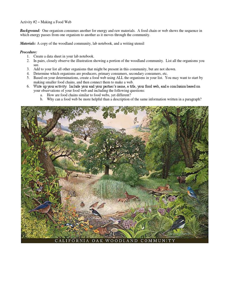 Activity #2 Making A Food Web | PDF | Food Web | Foods