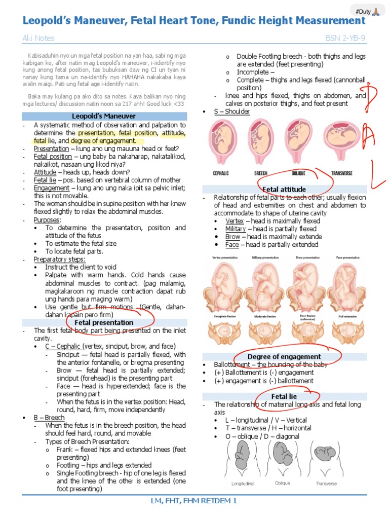 217 D2 - Leopold's Maneuver, FHT, FHM | PDF | Anatomical Terms Of ...