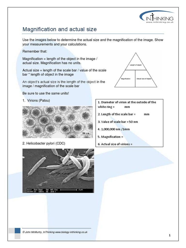 1.1.3 Magnification Worksheet 2 | PDF