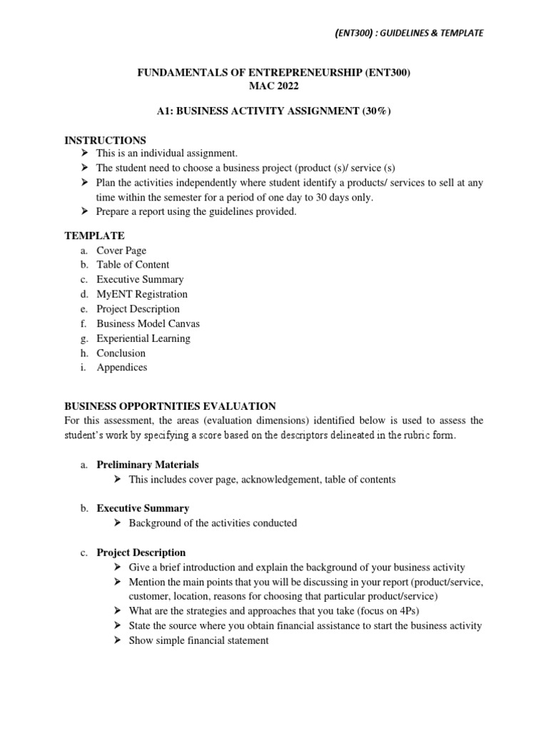 Ent300 - Guidelines Mac 2022 | PDF | Business | Rubric (Academic)