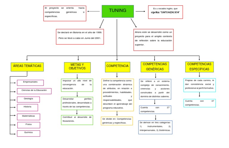 Proyecto Tuning Pdf Ciencia Cognitiva Aprendizaje