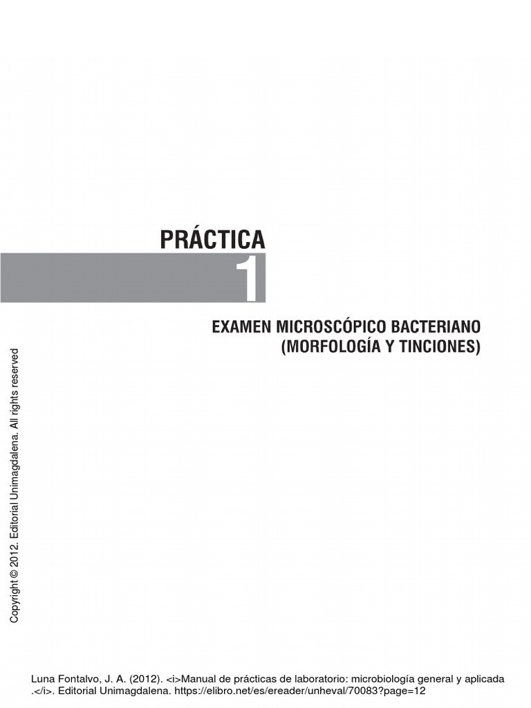 Examen Microscópico de Bacterias | PDF | Microbiología | Microscopía