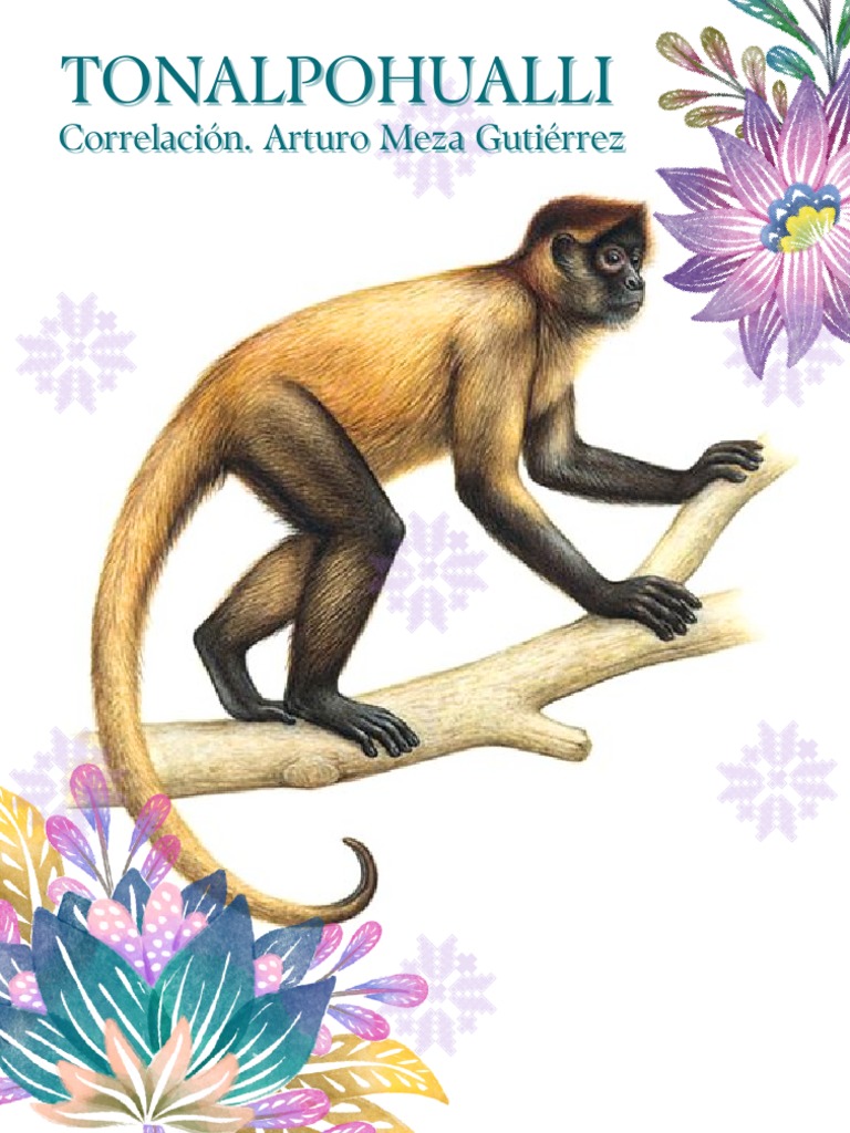 Significado Del Tonalpohualli Pdf