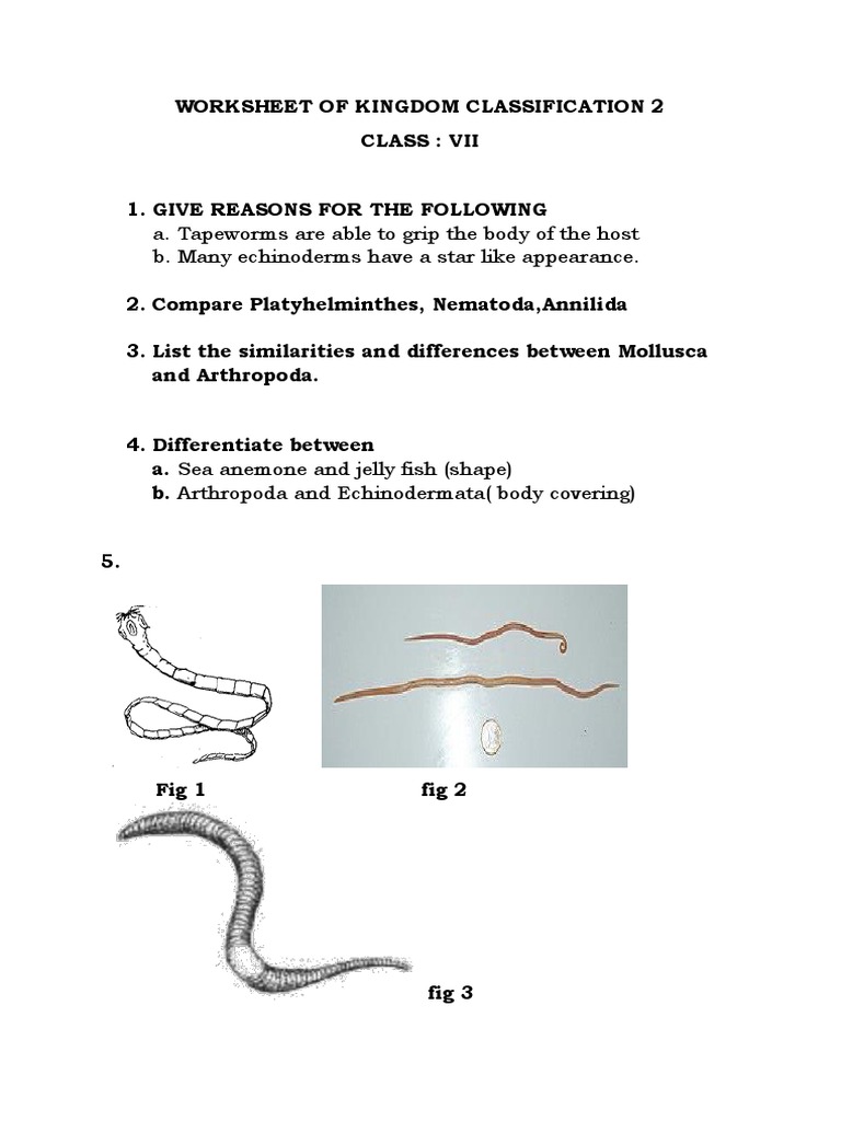 Kingdom Classification2 - Worksheet | PDF