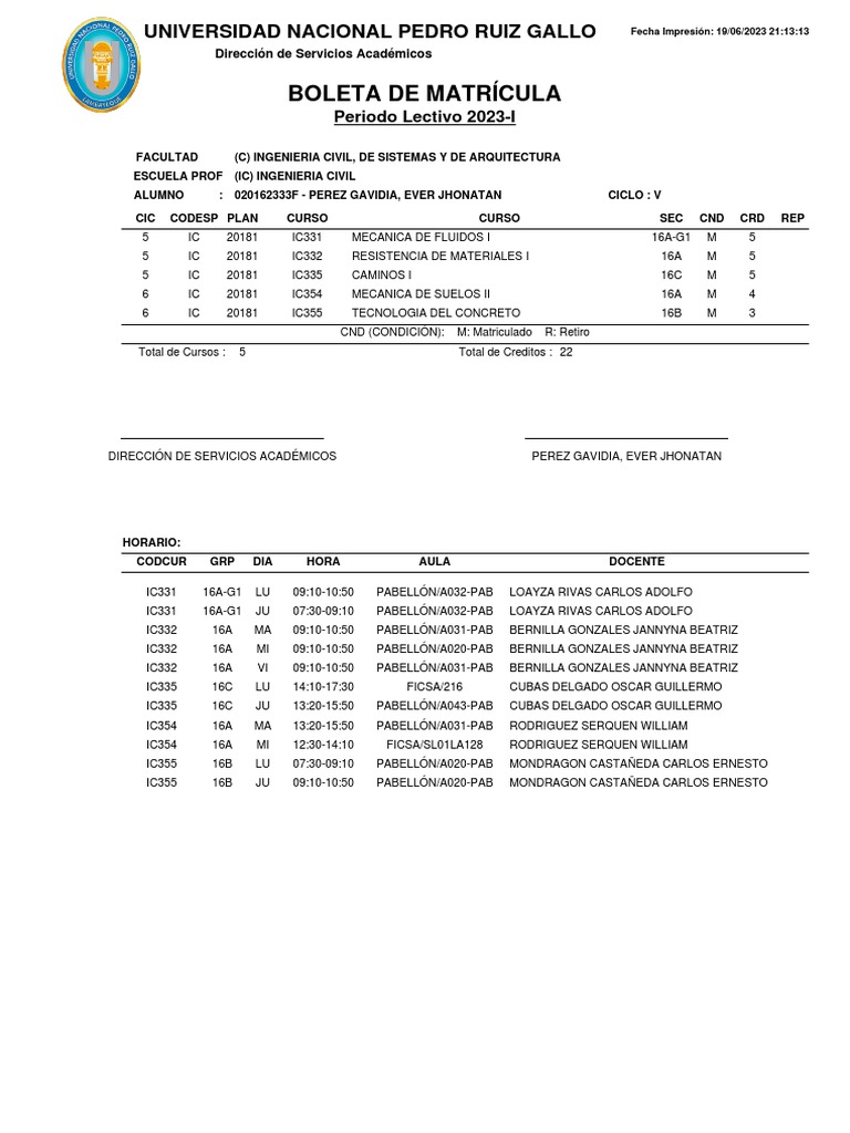 Boleta de Matrícula: Universidad Nacional Pedro Ruiz Gallo | PDF ...