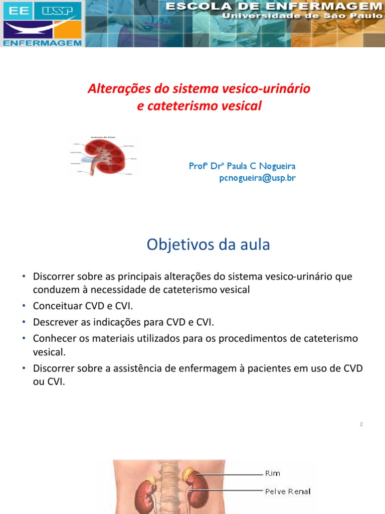 Cateterismo Vesical | PDF | Micção | Bexiga urinária
