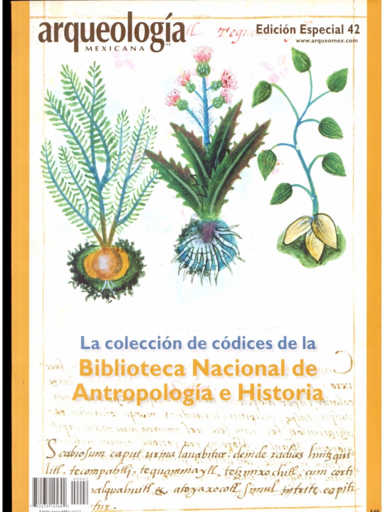 Códices de la Biblioteca Nacional | PDF | México | Ciudad de México