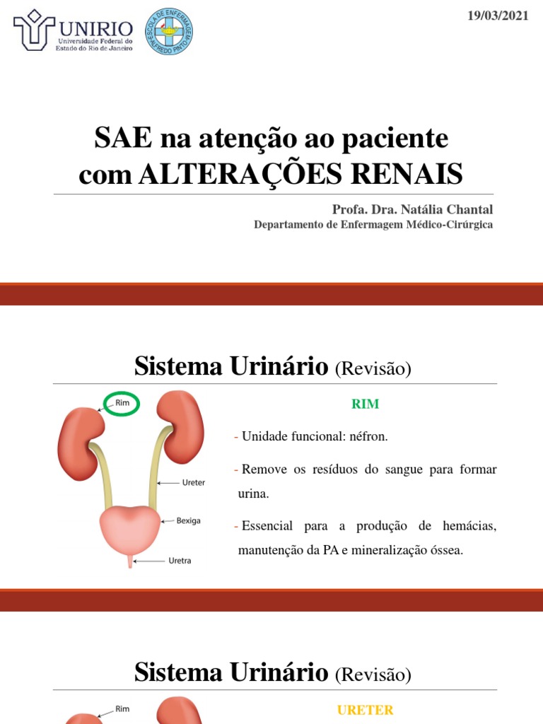 Renal 2020 | PDF | Rim | Micção