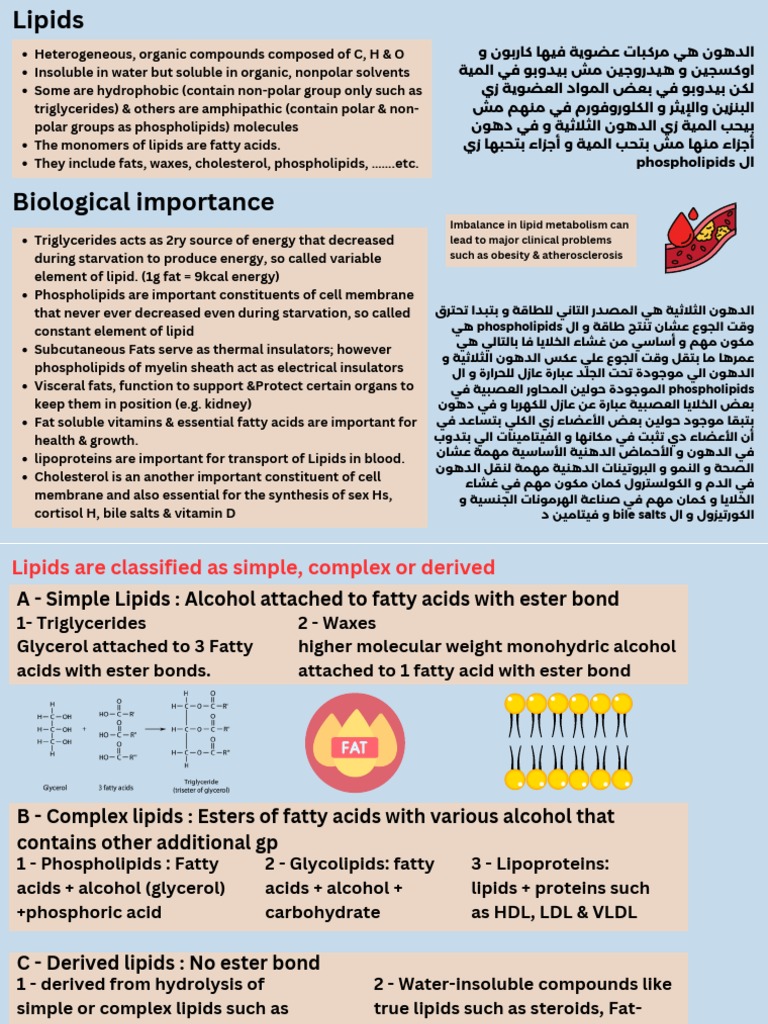 Lipids Final Pdf